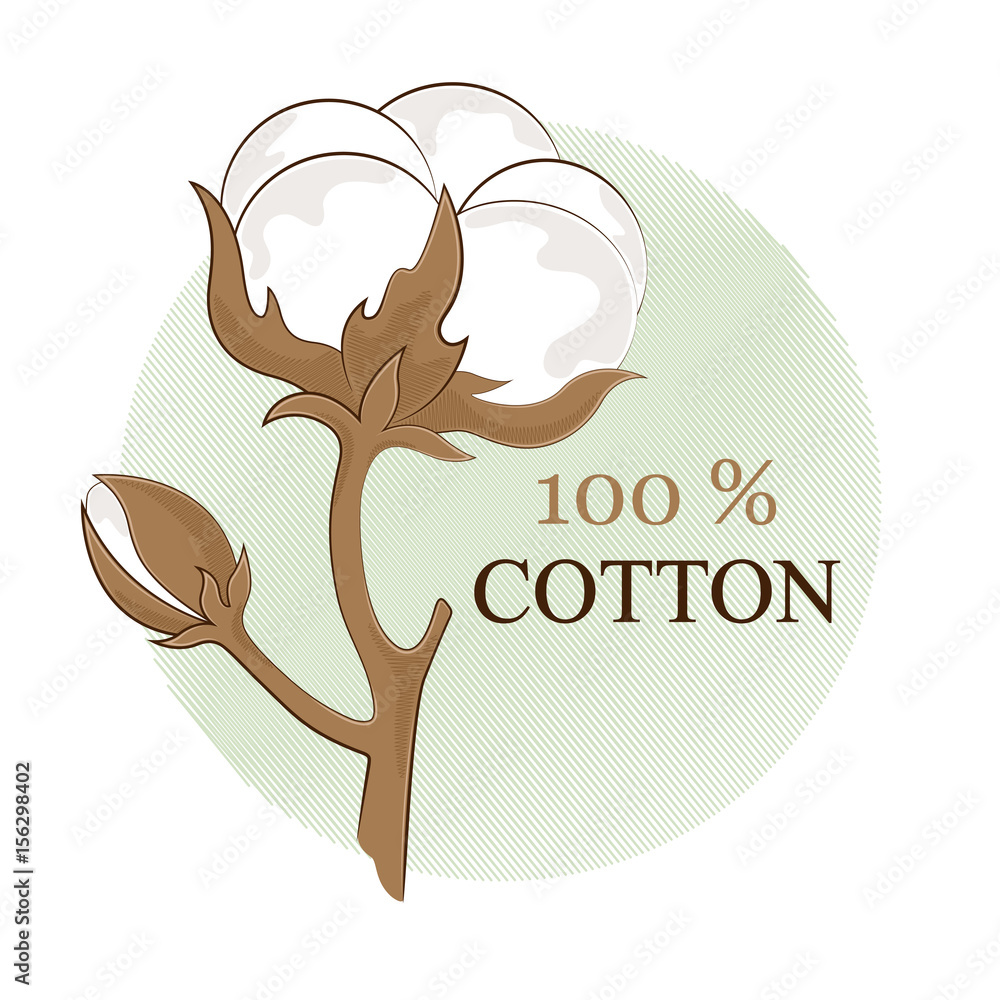 Cotton Logo Vector