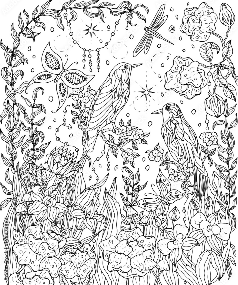 Birds and flowers coloring page. Birds of paradise vector illustration ...