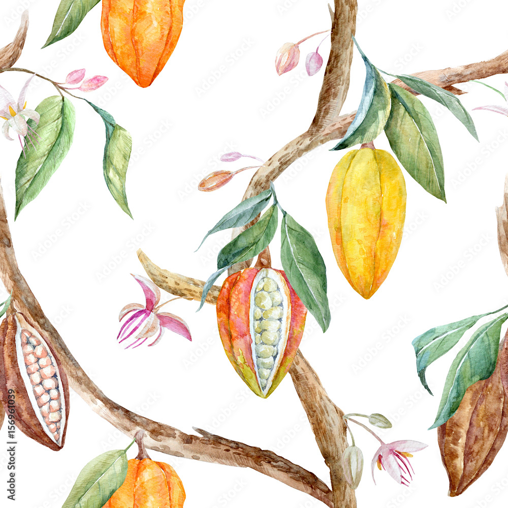 Watercolor cacao pattern Stock Illustration | Adobe Stock
