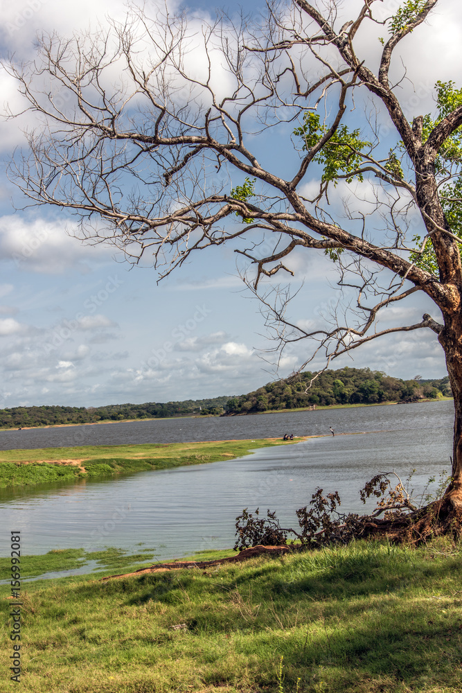Giritale Tank famous reservoir in Sri Lanka built by King Agbo 11 where ...