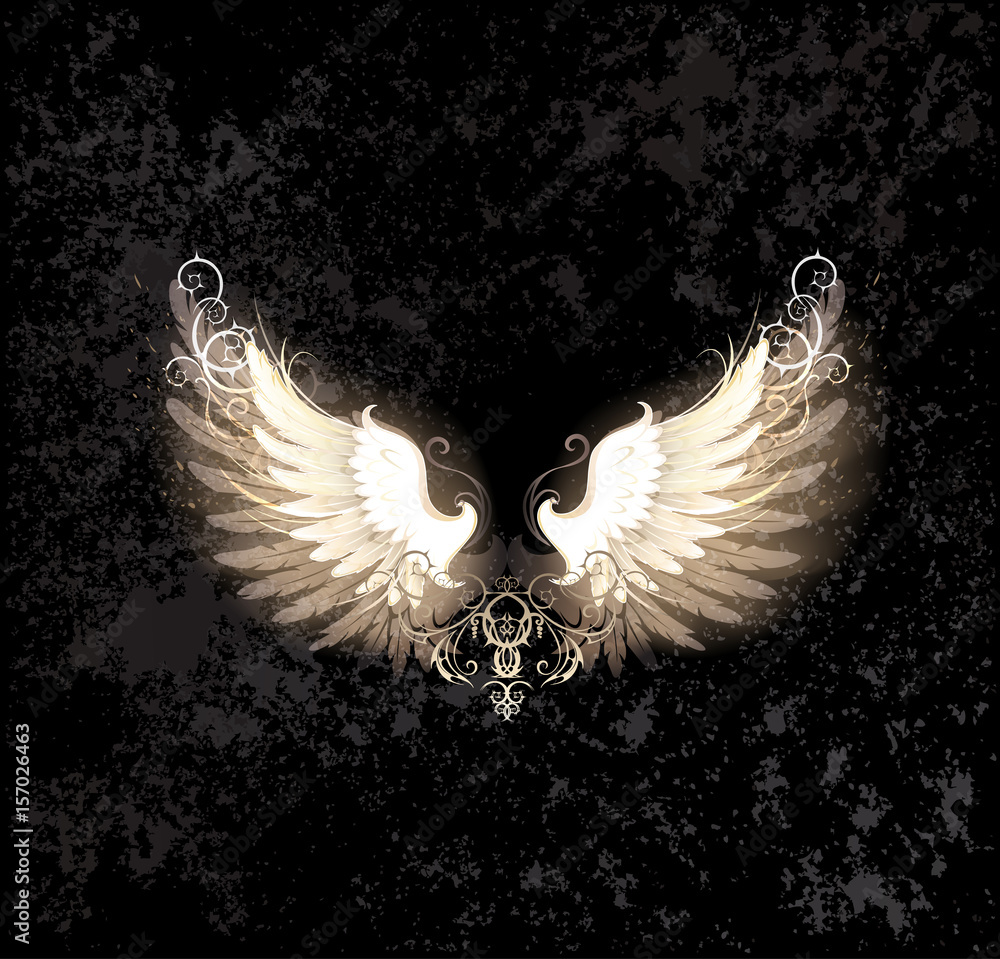 Light Wings Stock Vector | Adobe Stock