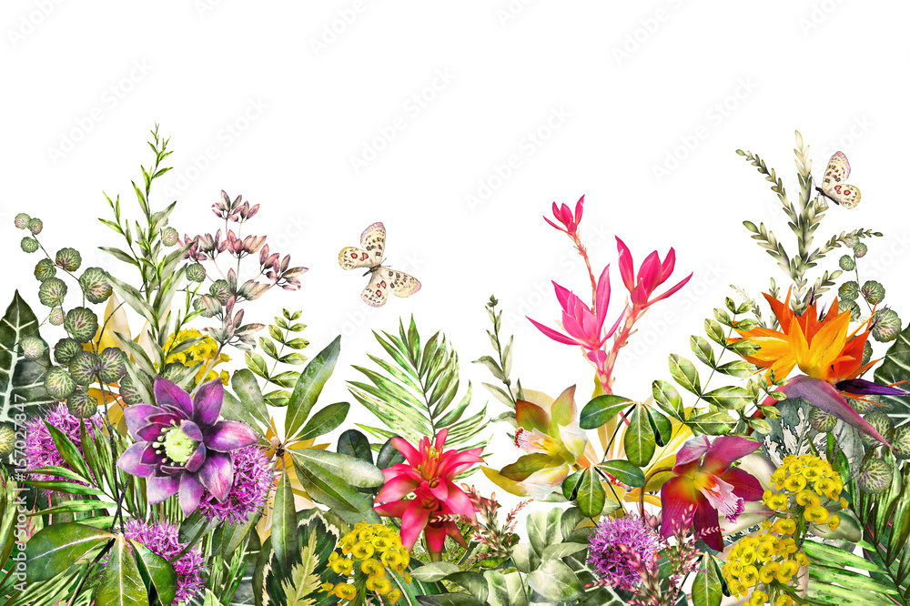 Seamless border with tropical plants - flowers, leaves. exotic ...