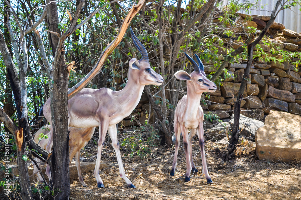 Gazelle aka Chinkara statue, Rann of Kutch Stock Photo | Adobe Stock