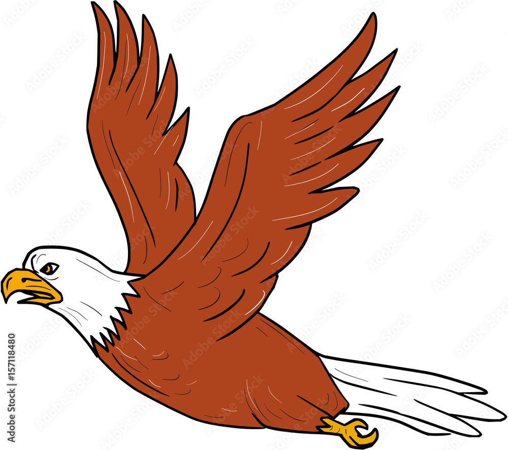 Angry Eagle Flying Cartoon Stock Vector | Adobe Stock