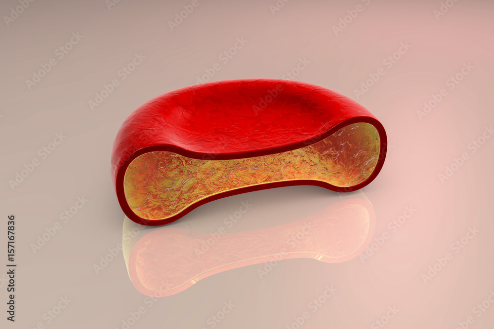 Inside Of A Red Blood Cell