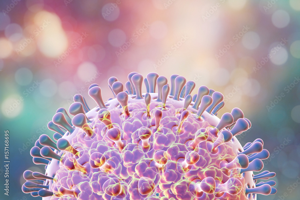 Molecular model of a rotavirus which causes diarrheal infection in ...