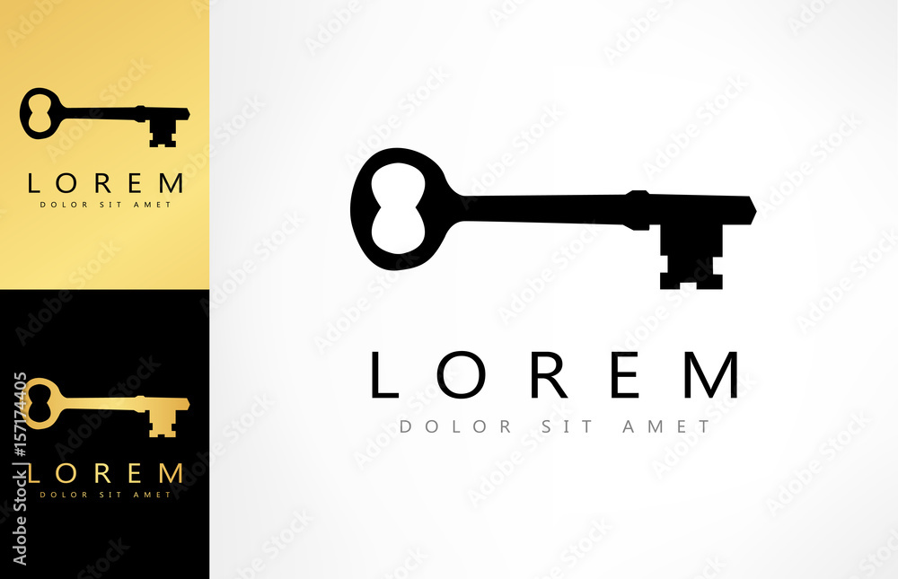 key logo Stock Vector | Adobe Stock
