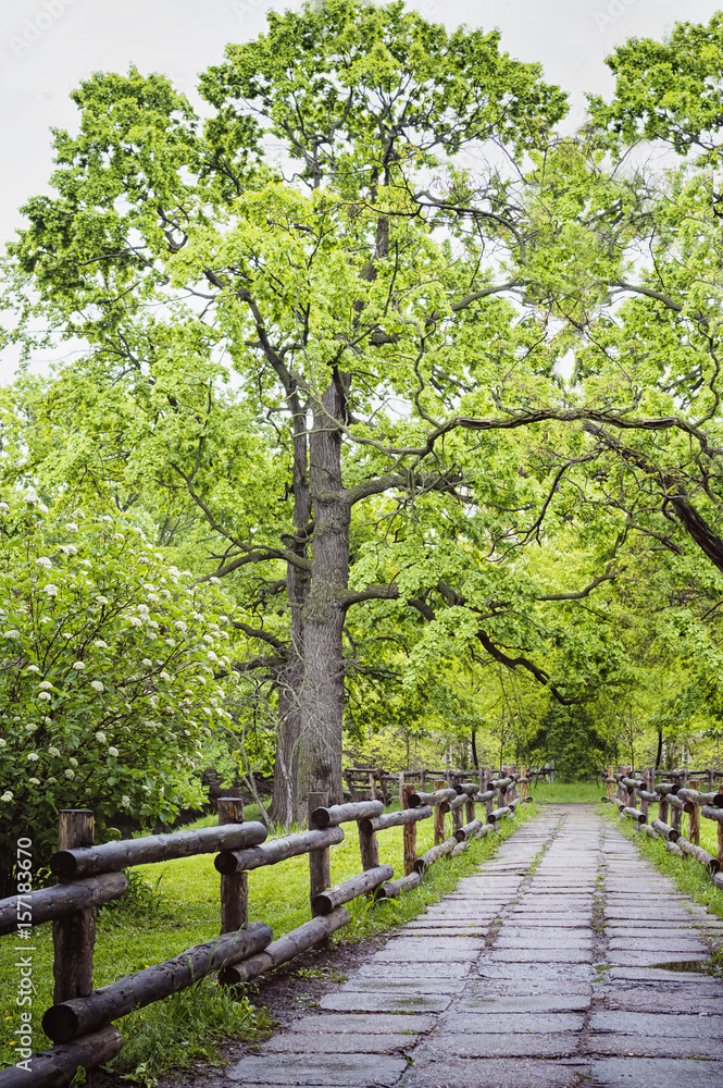 Beautiful wooden dead hedge in the park. Vertical photography. Stock ...