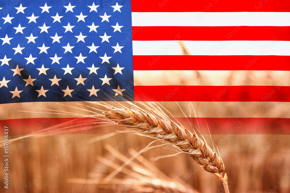 National flag of United States of America Stock Photo | Adobe Stock