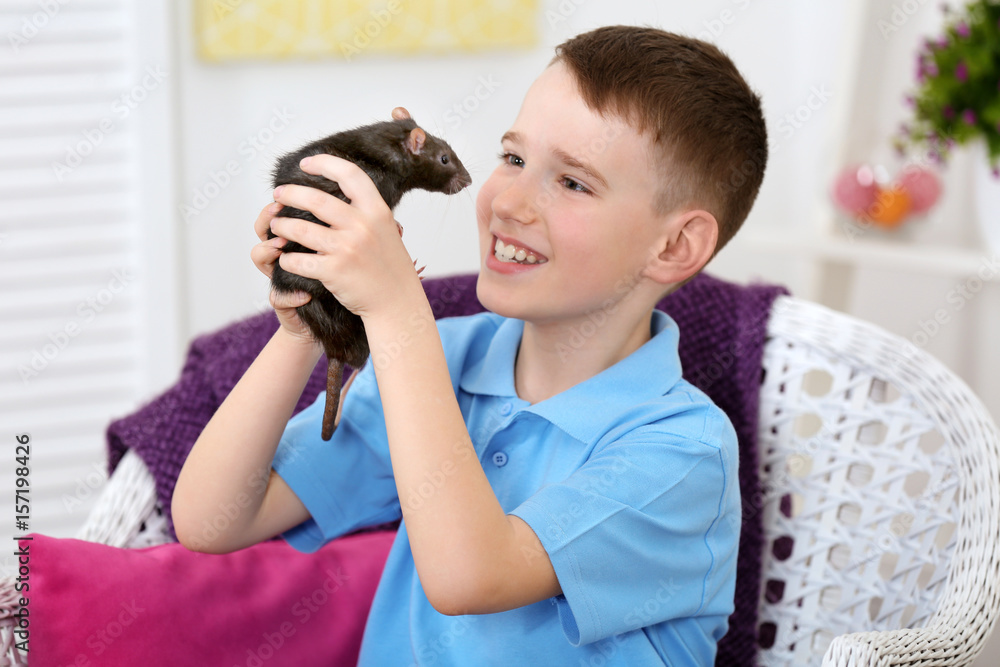Cute boy with funny rat at home foto de Stock | Adobe Stock