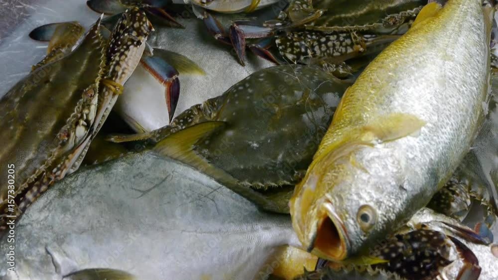 Delicious Croaker Pomfret fish & crabs within dial plate.fisheries ...