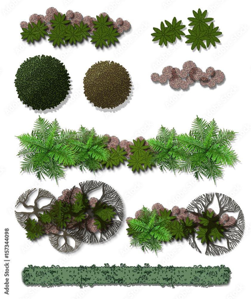 tree plan for artwork Stock Illustration | Adobe Stock