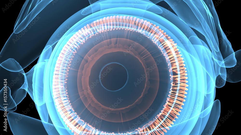 3d illustration of the human eye anatomy Stock Illustration | Adobe Stock