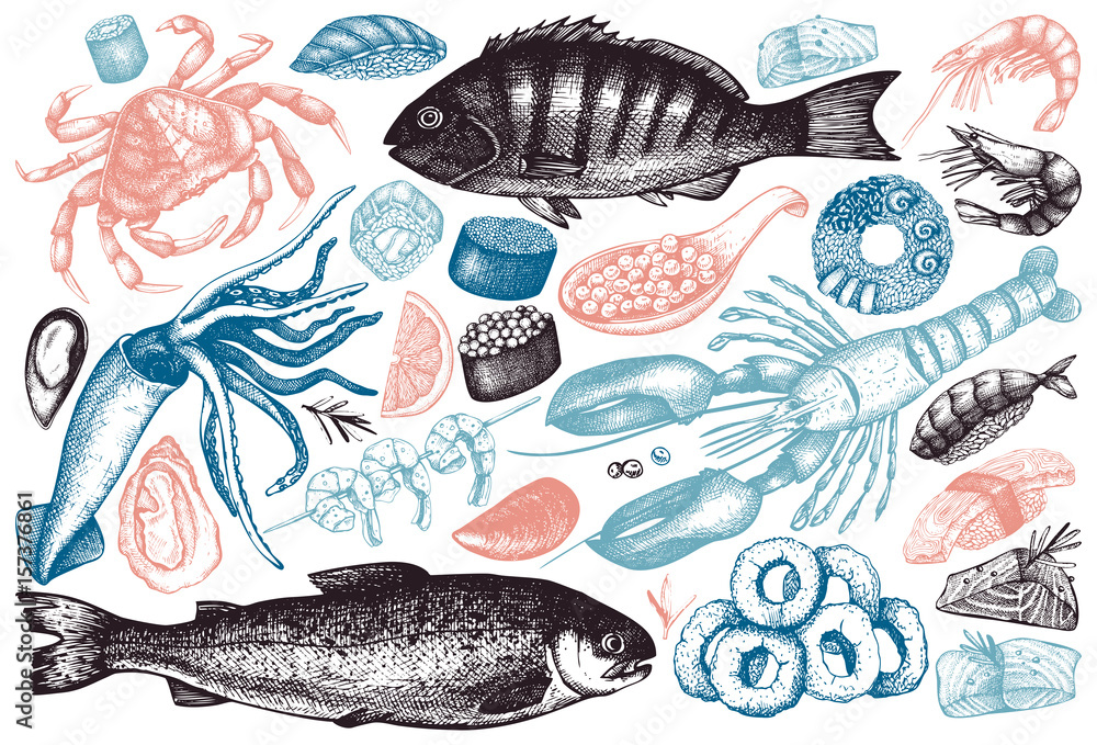 hand drawn Seafood illustrations set Stock Vector | Adobe Stock