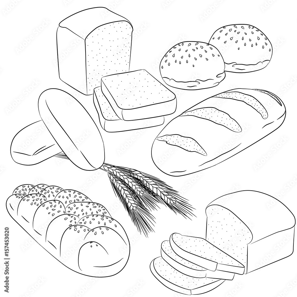 Vector line art illustration with food. Set with various bread baking ...