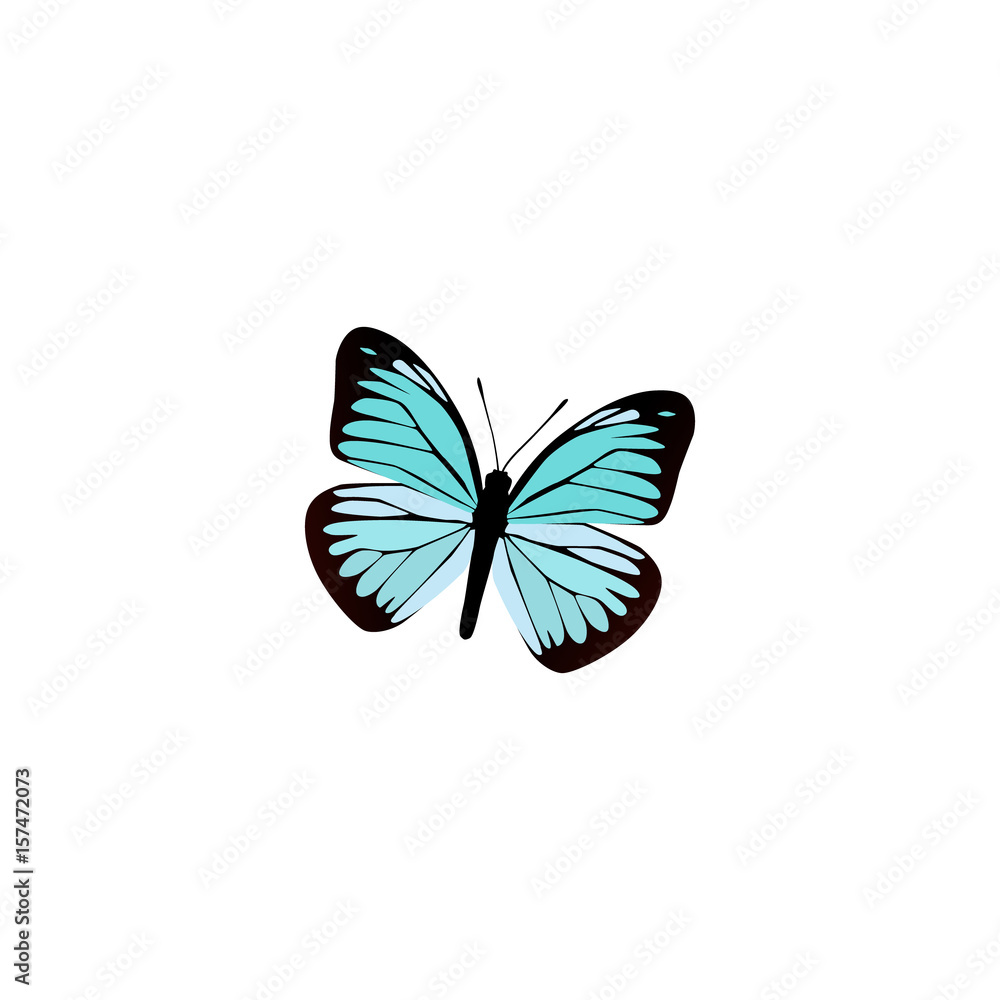 Realistic Demophoon Element. Vector Illustration Of Realistic Lexias ...