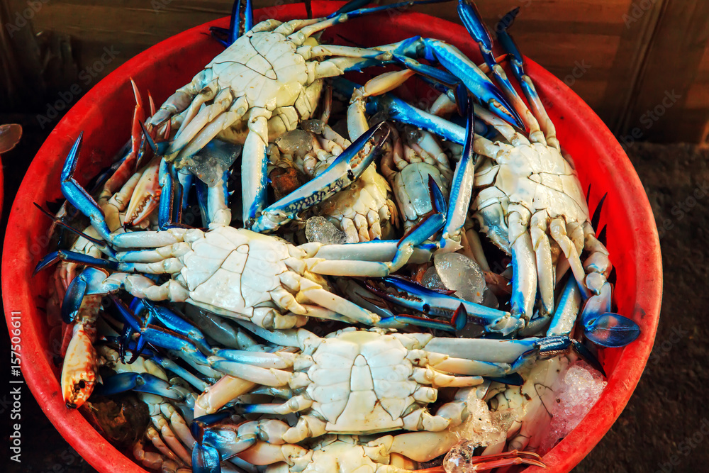 Raw crabs in the pelvis. Stock Photo | Adobe Stock