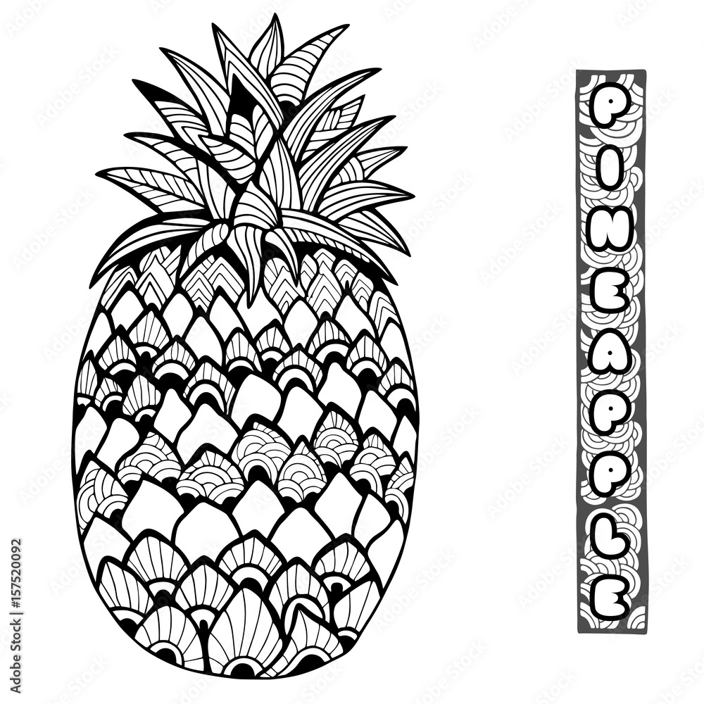 Pineapple. Doodle and zentangle style. Hand drawn. Vector illustration ...