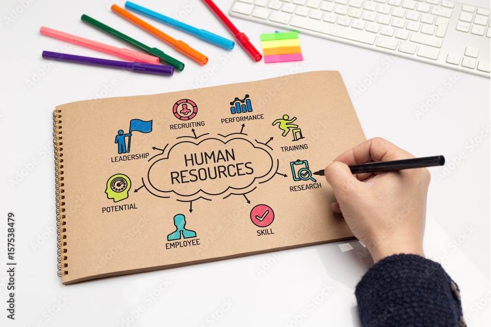 Human Resources chart with keywords and sketch icons Stock Photo ...