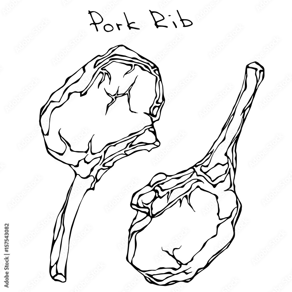 Row Pork Ribs. Realistic Vector Illustration Isolated Hand Drawn Doodle ...
