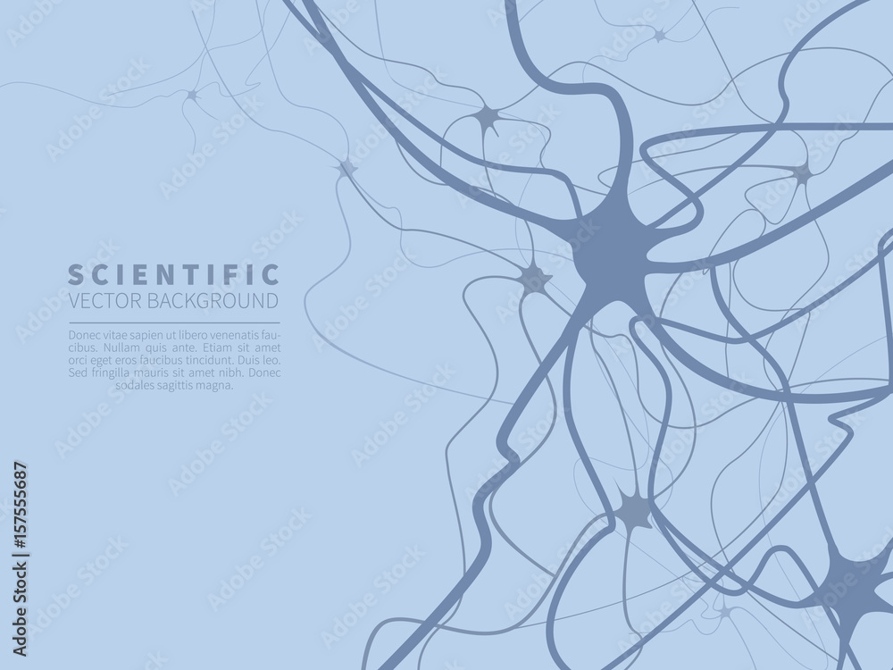 model of neural system Stock Vector | Adobe Stock