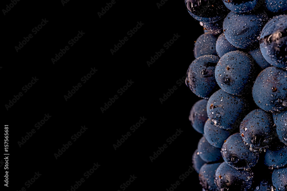Black Grapes Wallpaper