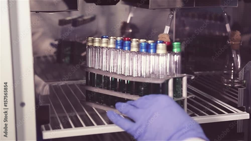 Laboratory employee puts in refrigerator, greenhouse, metal box with ...