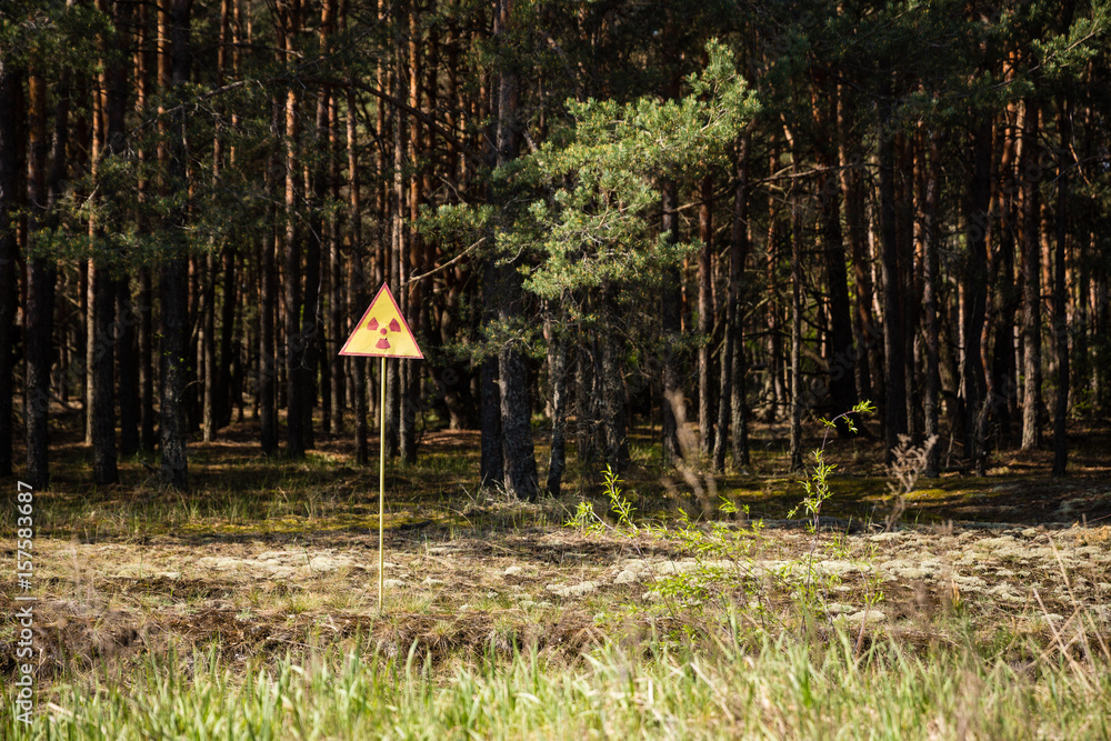 radioactive warning sign at the red forest in chernobyl Stock Photo ...