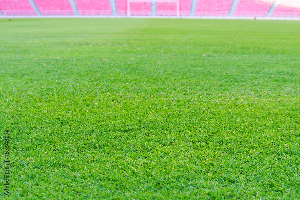 Green grass in soccer stadium. soccer field grass with stadium. Stock ...