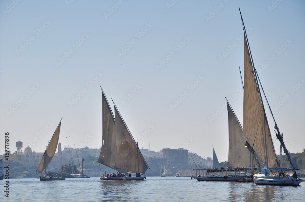 Poster Feluccas in Nile River, Egypt – Wall Art | UkPosters