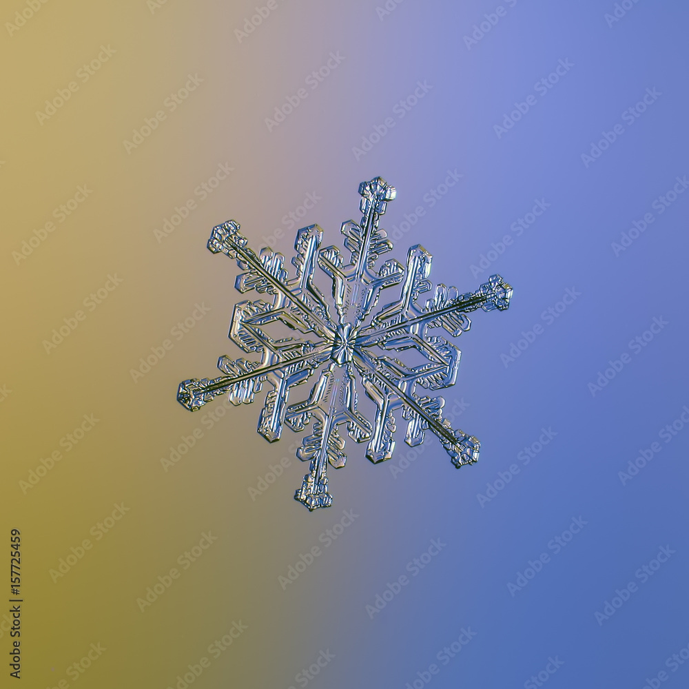 Real snowflake macro photo: medium size snow crystal of stellar ...