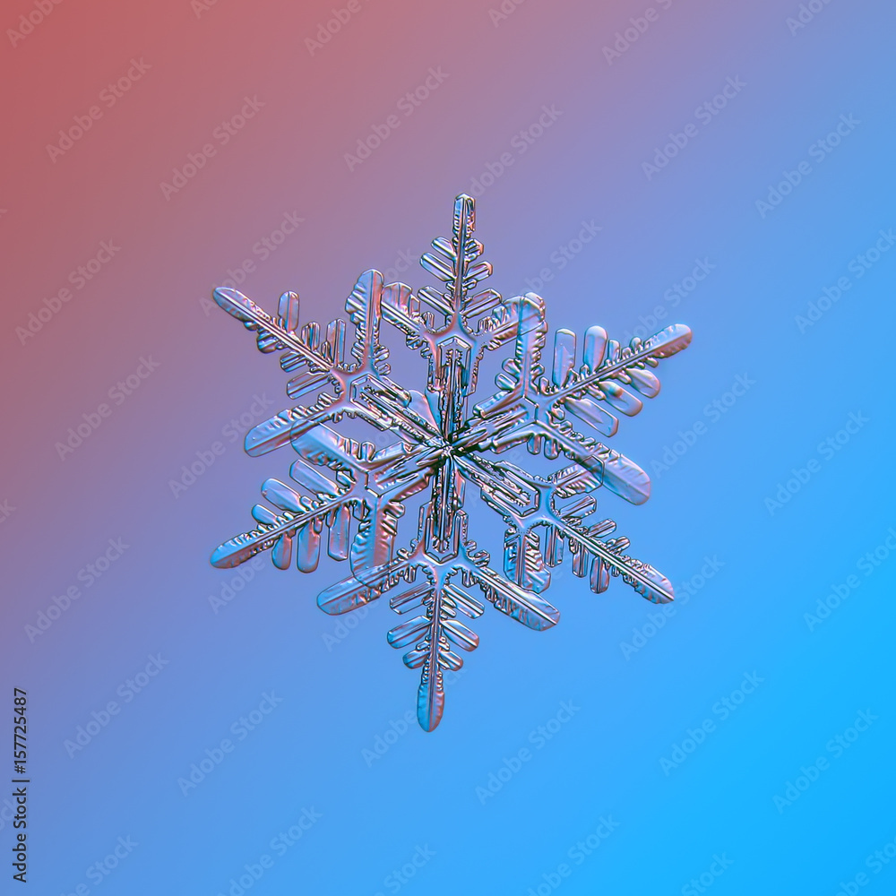 Real snowflake macro photo: stellar dendrite snow crystal with relief ...