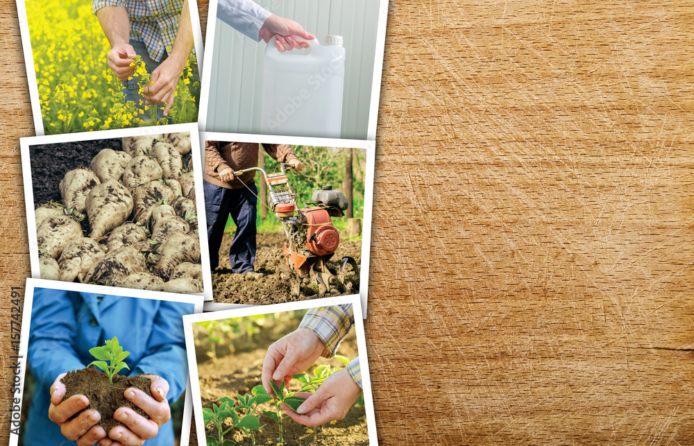 Agriculture and farming photo collage Stock Photo | Adobe Stock