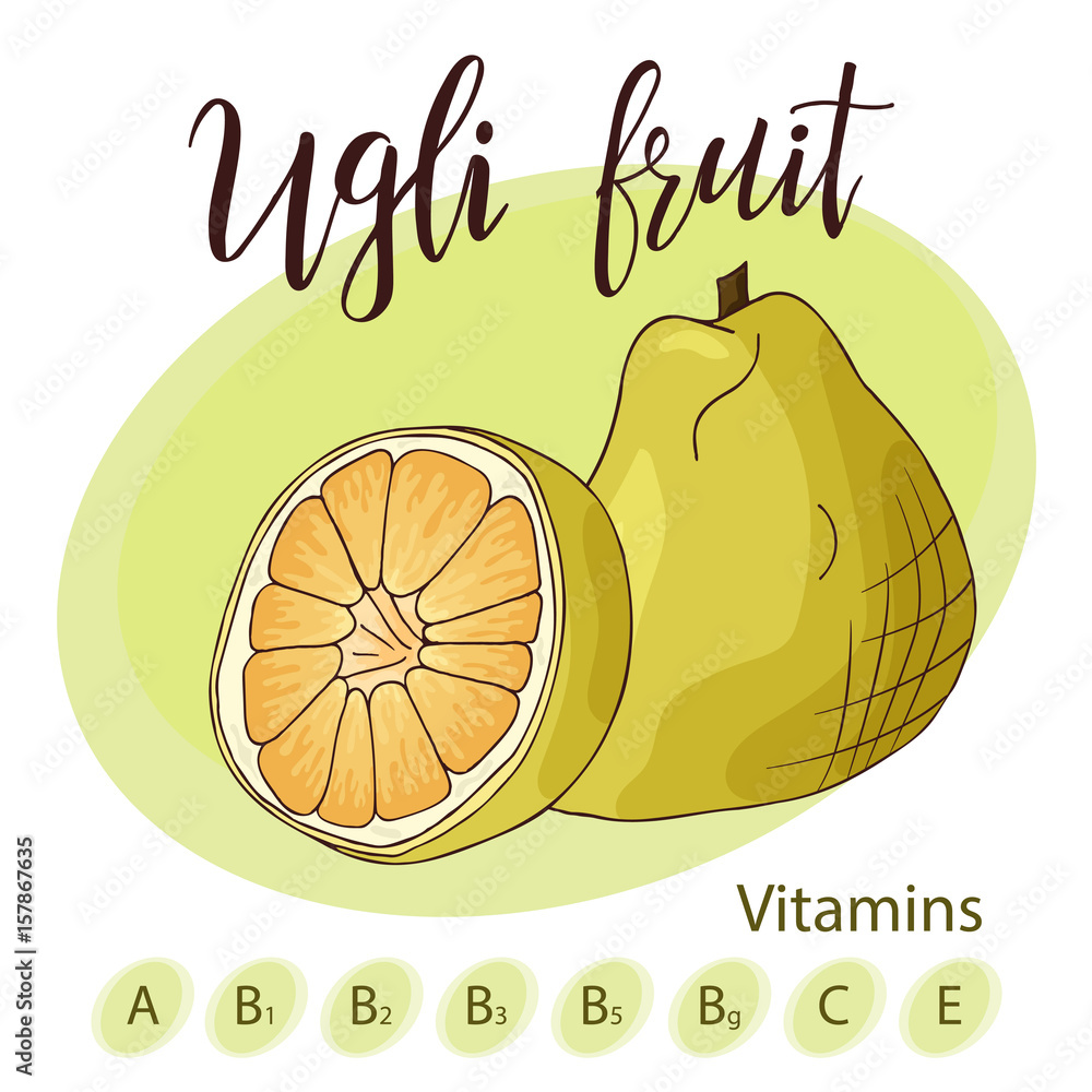 Colorful vector illustration. Food design with fruit. Hand drawn sketch ...