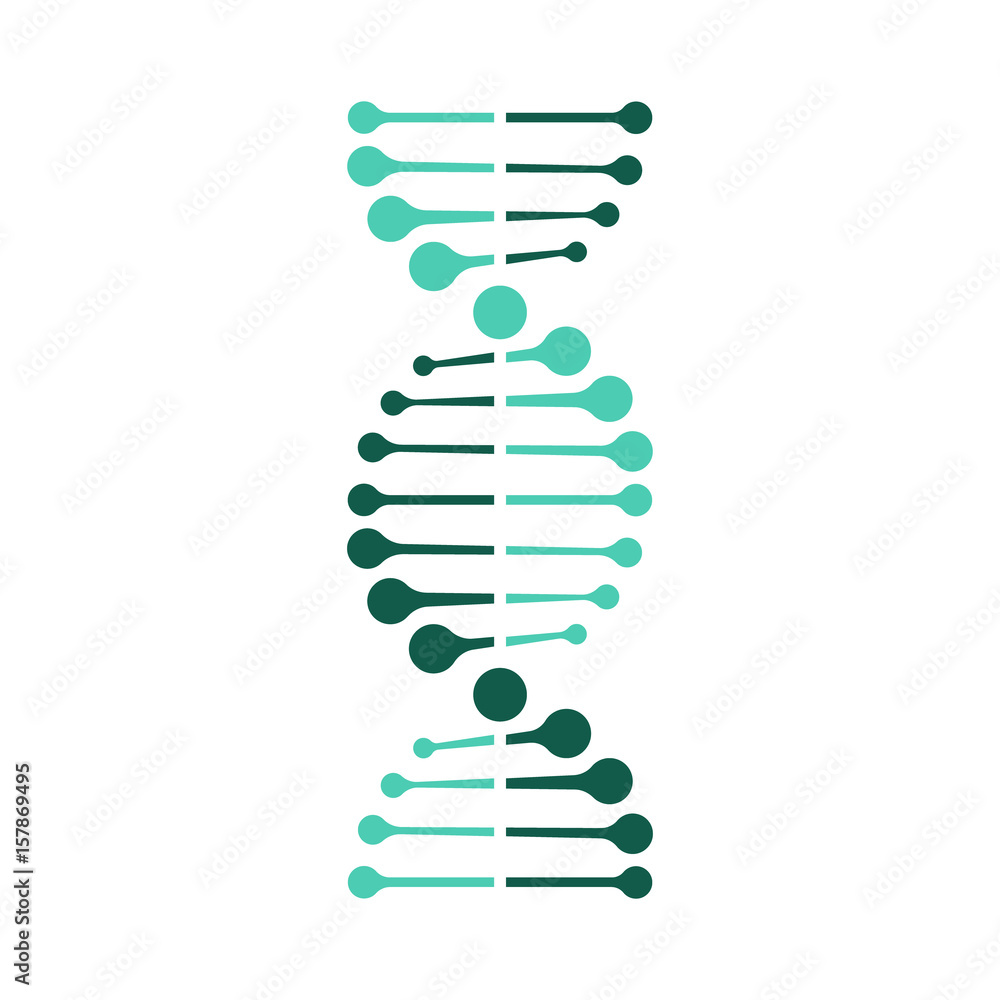 Dna. Vector. Stock Vector | Adobe Stock