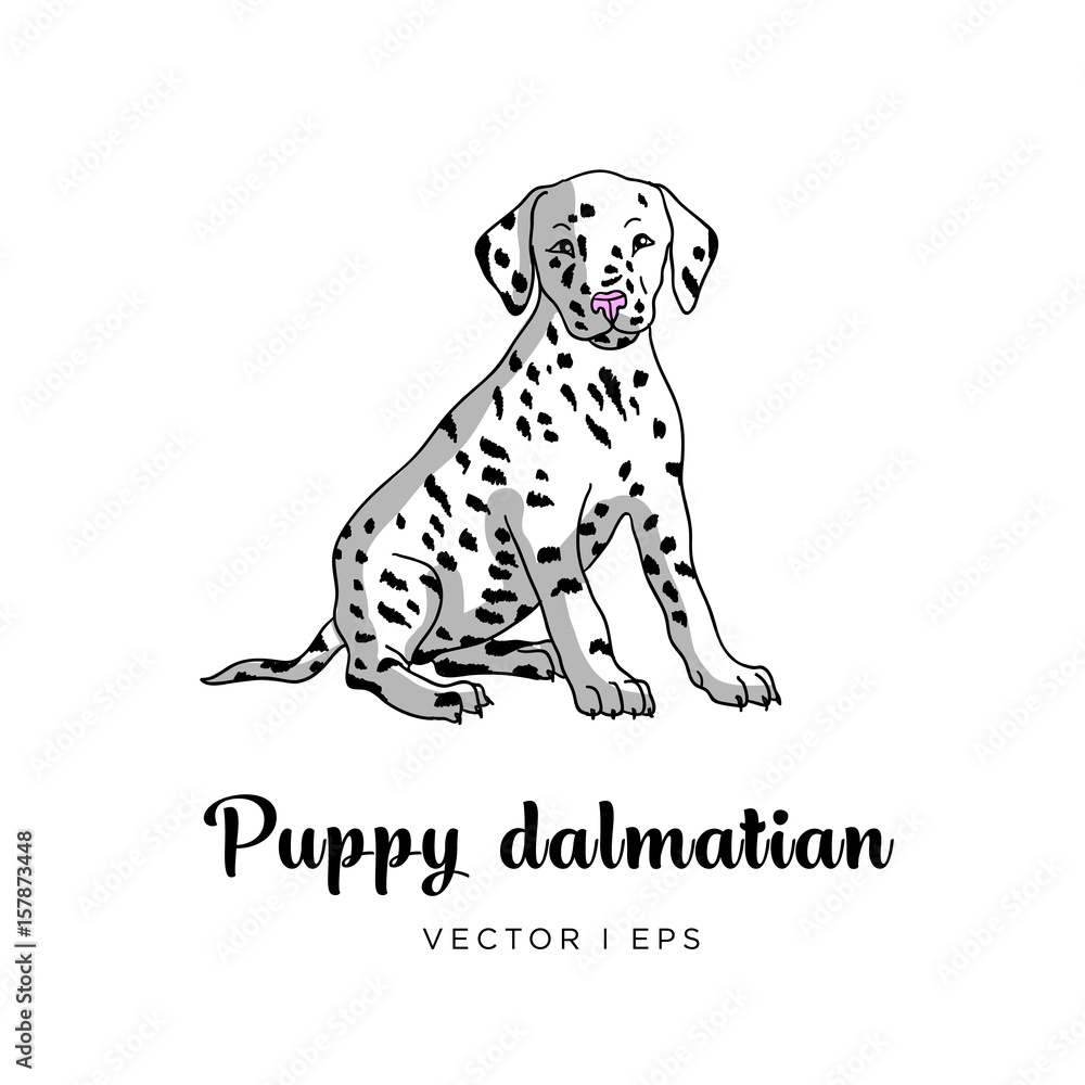 Vector editable colorful image depicting a cute dalmatian puppy dog ...