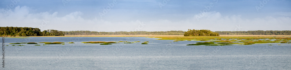 panorama of coastal estuary and forest in South Carolina Stock Photo ...