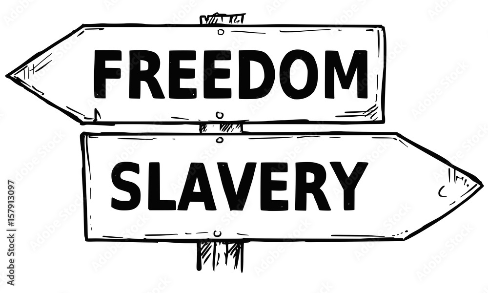 Cartoon Vector Direction Sign with Two Decision Arrows Freedom and ...