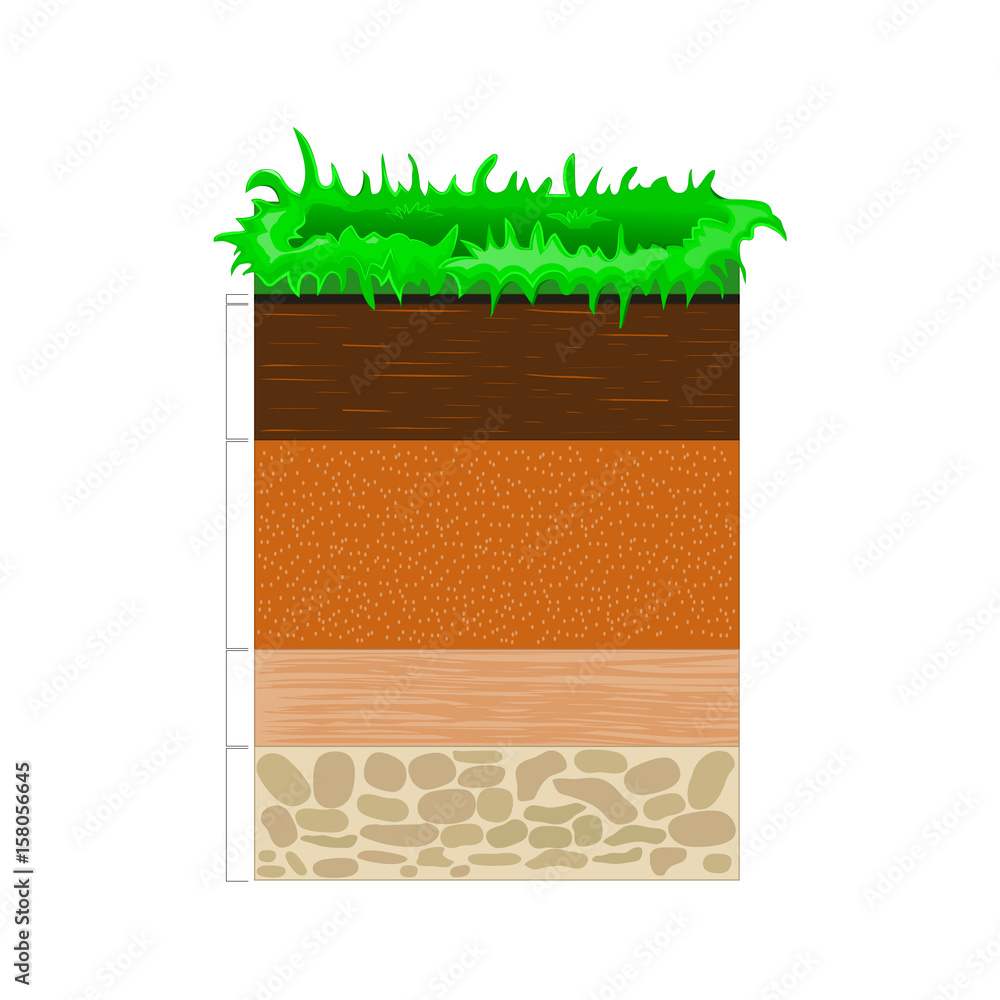 soil profile and horizons Stock Vector | Adobe Stock