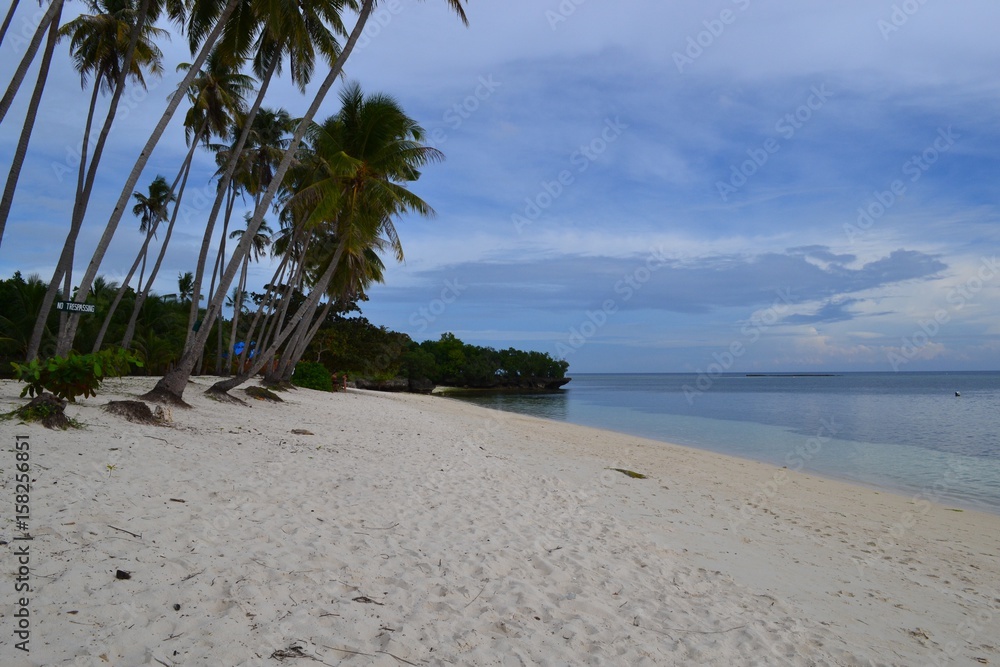 Philippines beach with coconut and ocean view Stock Photo | Adobe Stock