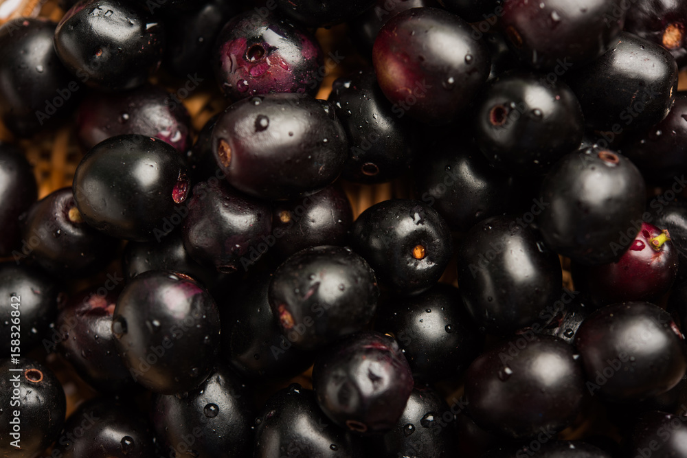 Foto de Jambolan plum or jambhul or jamun fruit, Java plum (Syzygium ...