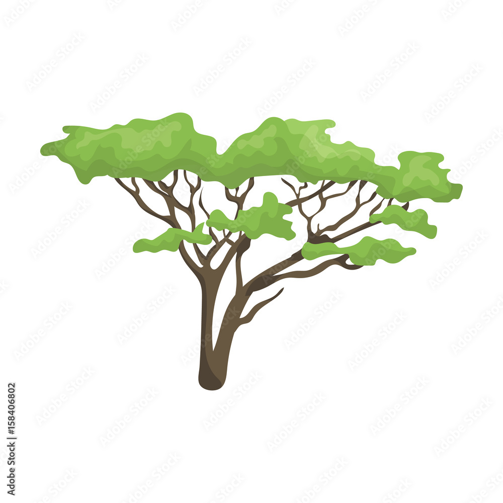 Safari Tree Vector