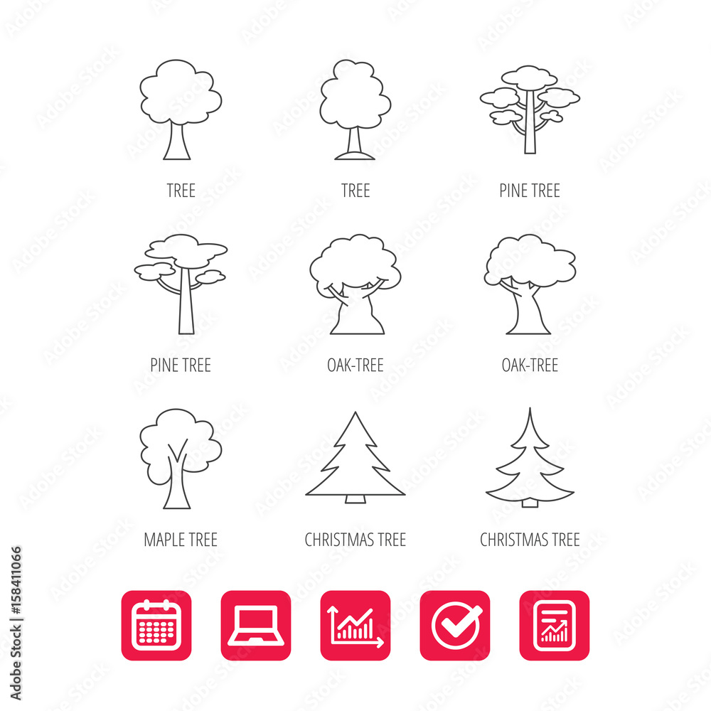 Pine tree, maple and oak icons. Christmas trees linear signs. Forest ...