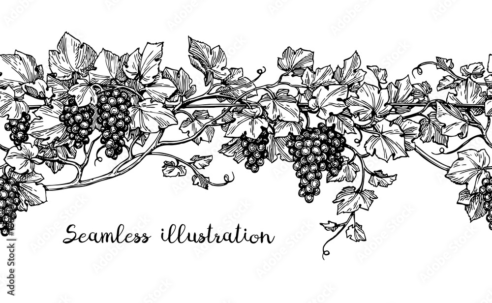 Seamless grapevine sketch Stock Vector | Adobe Stock