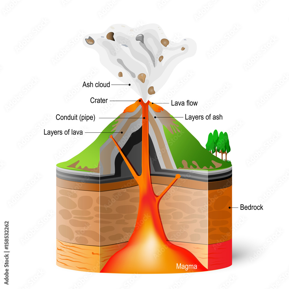 Cross-section of volcano Stock Vector | Adobe Stock