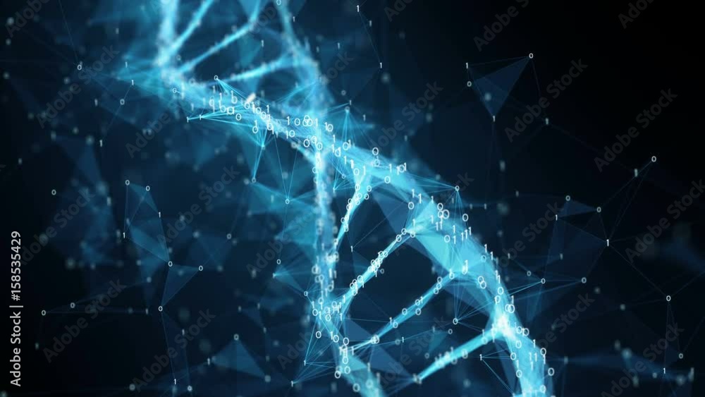 Abstract representation of digital binary polygon plexus DNA molecule . For visuals, biology ...