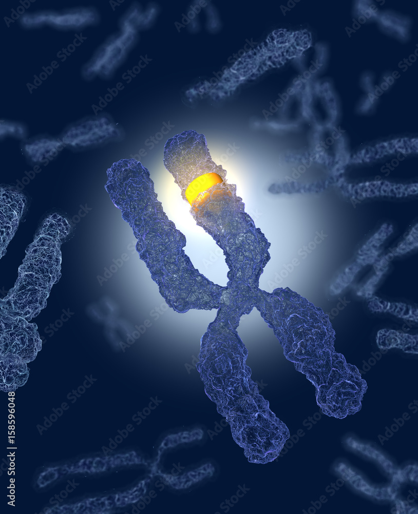 Genomic, epigenetic, telemores Stock Illustration | Adobe Stock
