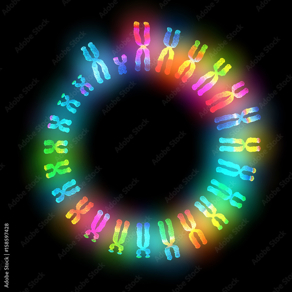 Male Chromosome Set Karyotype Genome Artwork Stock Illustration Adobe Stock