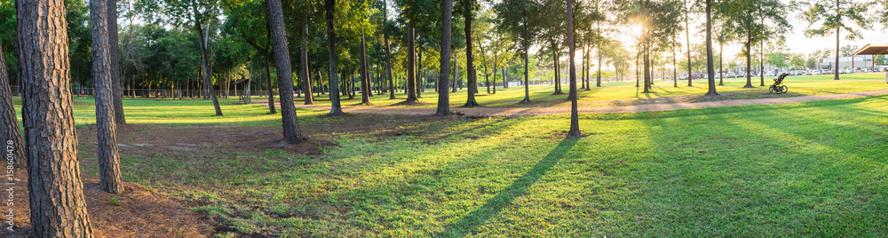 Panorama view an urban park in Texas, America with green grass lawn ...