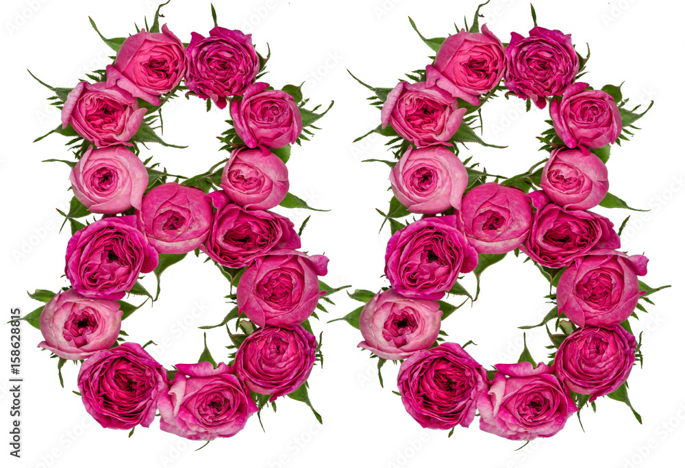 Arabic numeral 88, eighty eight, from red flowers of rose, isolated on ...